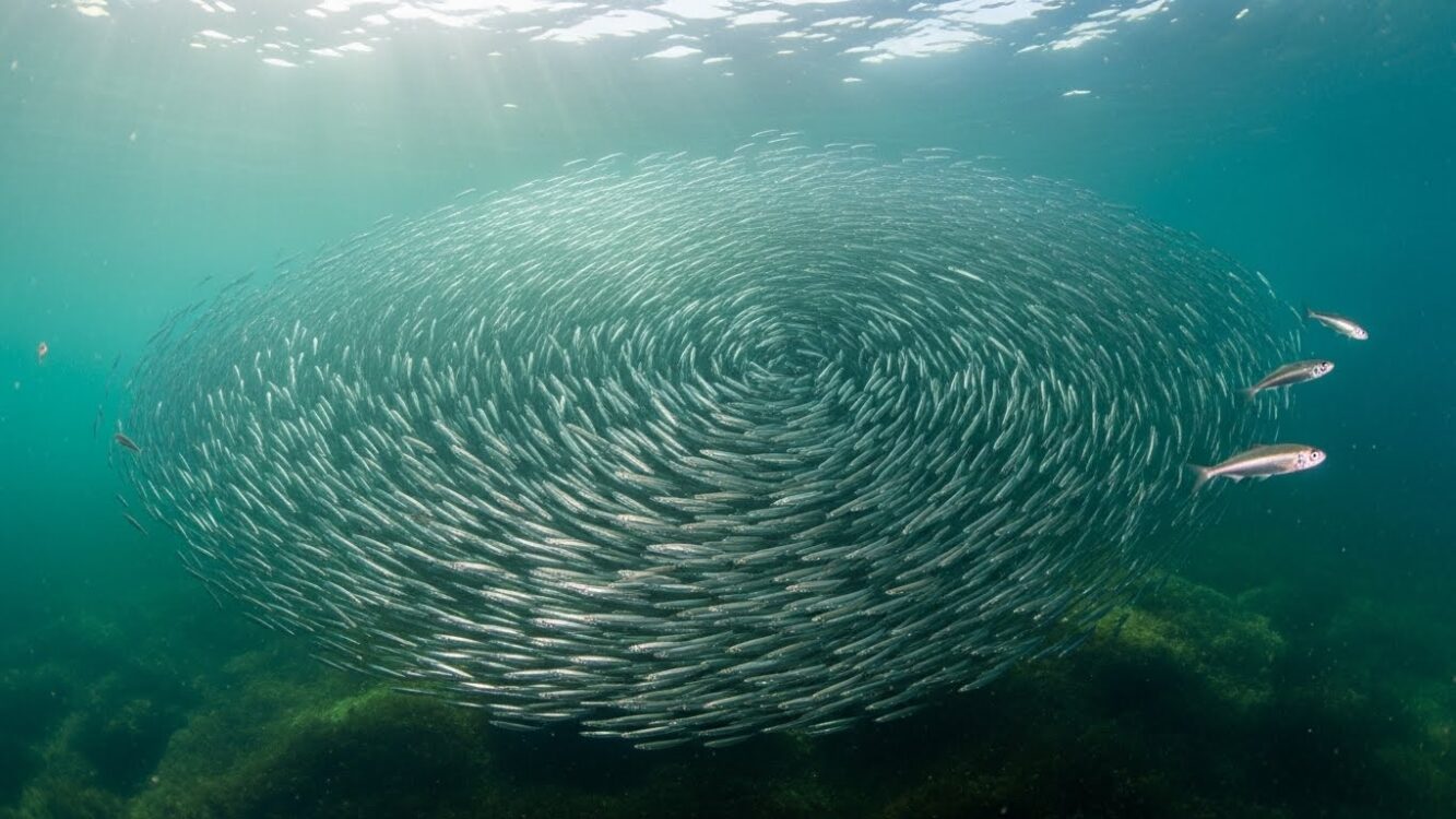 The power of awe: How nature can transform our perspective ...